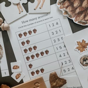 Homeschool Autumn Unit Study Printable Bundle - Etsy