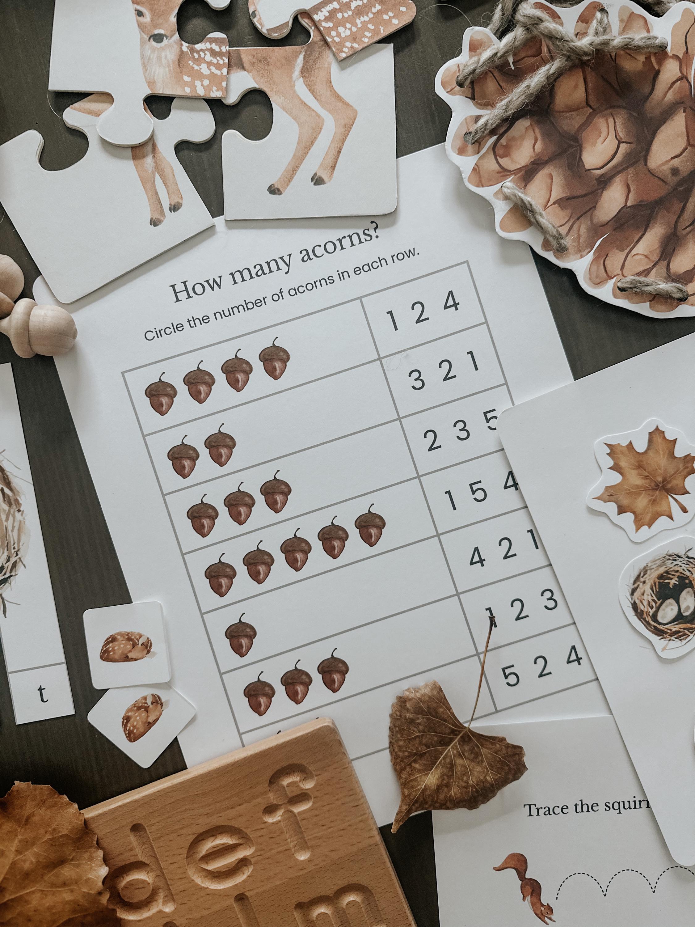 Homeschool Autumn Unit Study Printable Bundle - Etsy