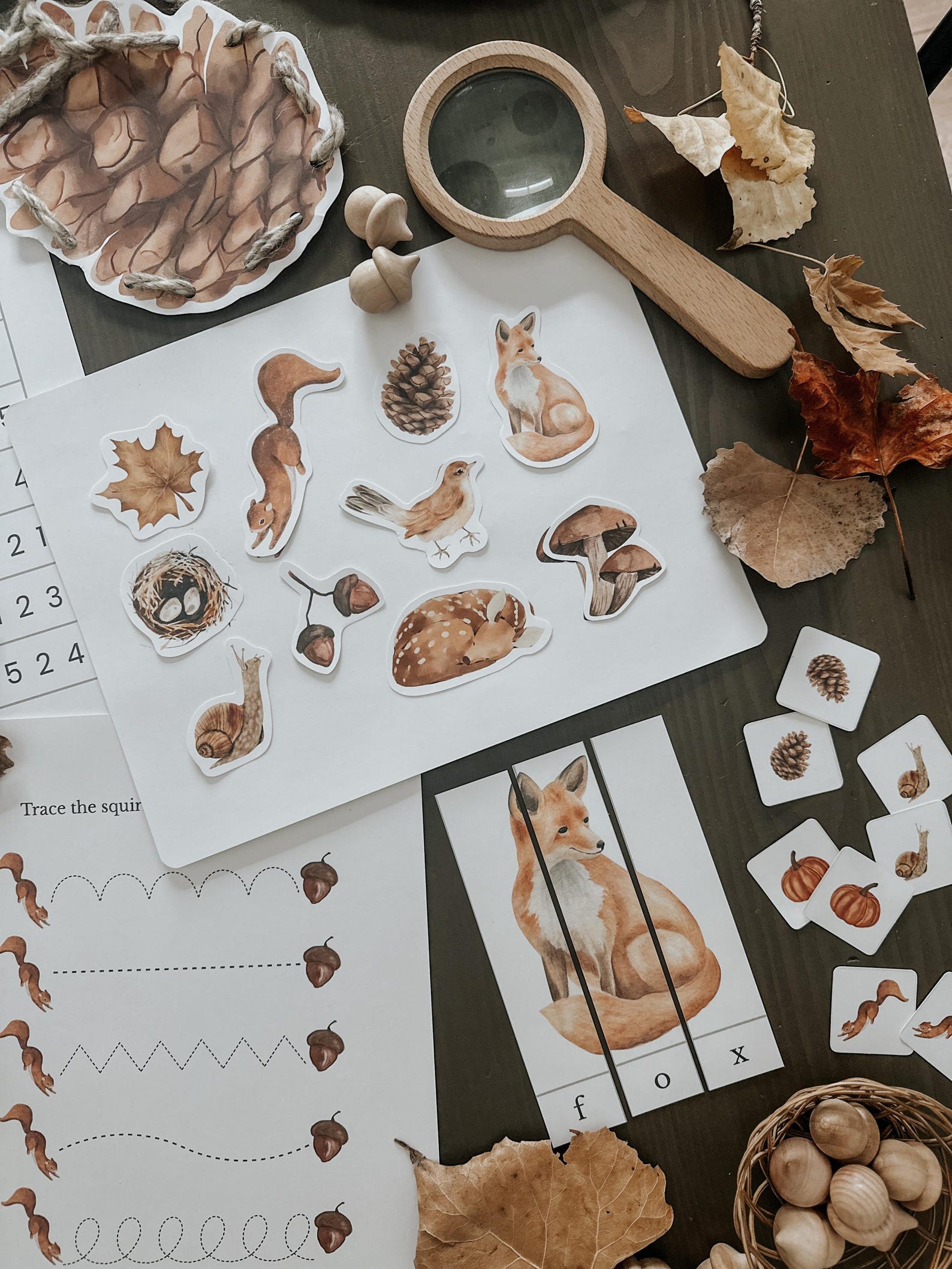 Homeschool Autumn Unit Study Printable Bundle - Etsy