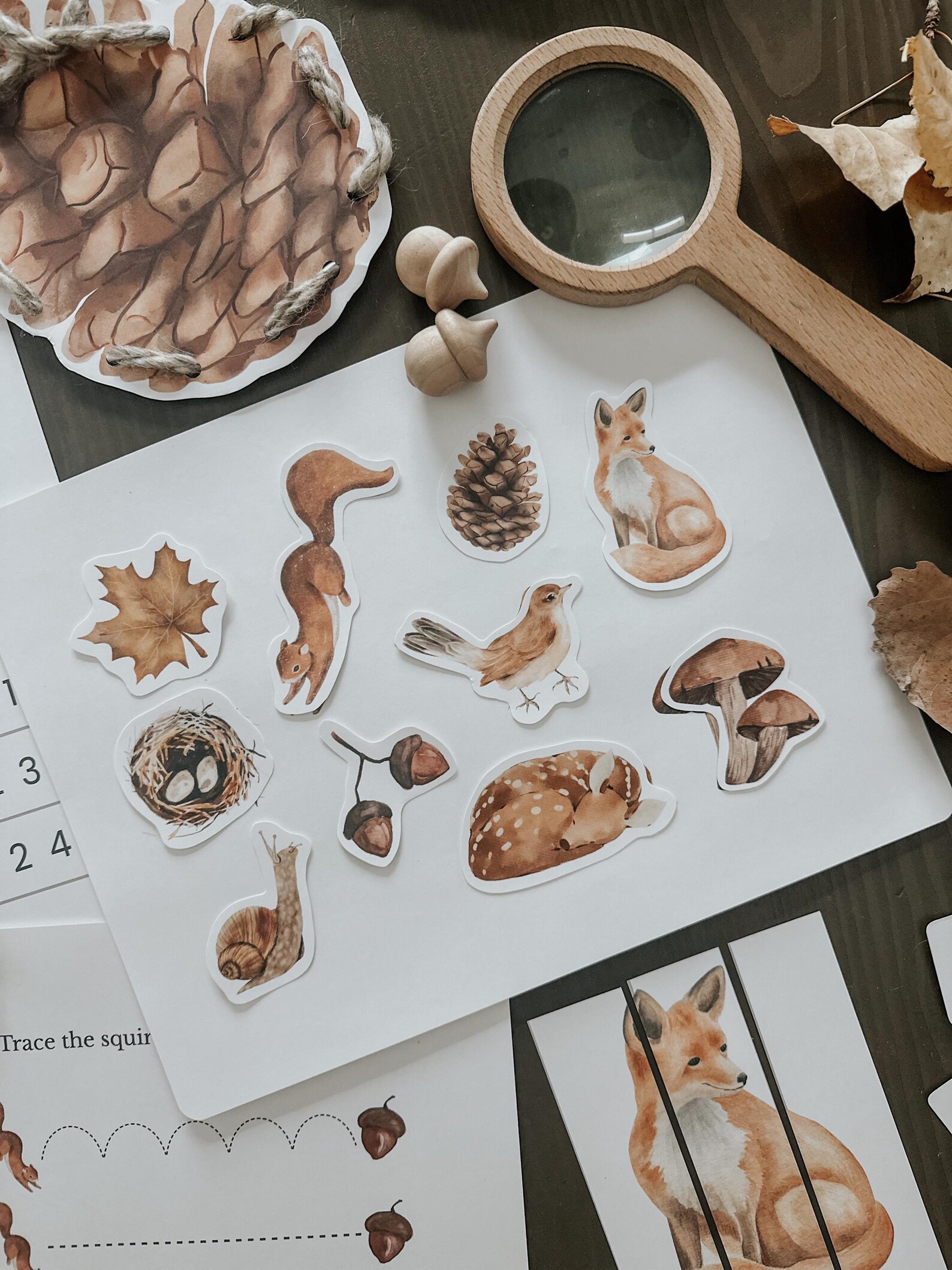 Homeschool Autumn Unit Study Printable Bundle - Etsy