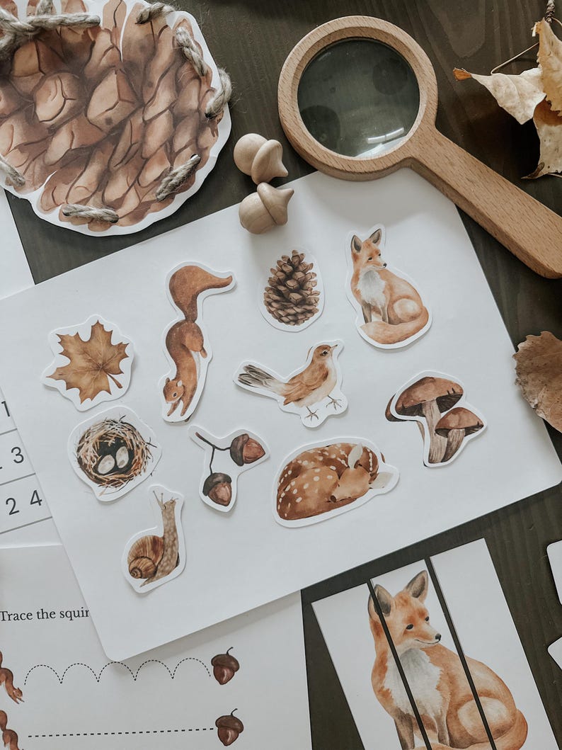 Homeschool Autumn Unit Study Printable Bundle - Etsy