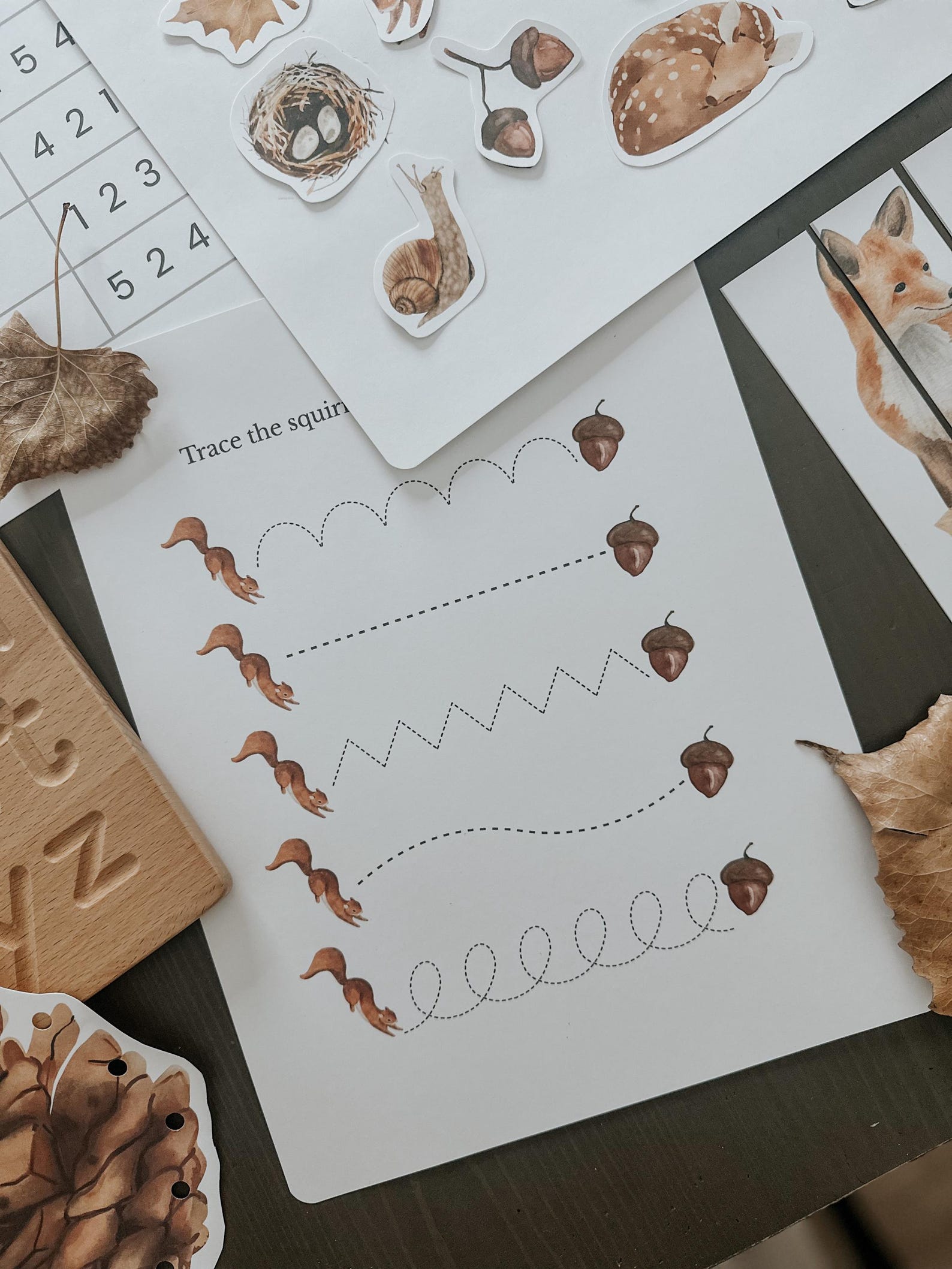 Homeschool Autumn Unit Study Printable Bundle - Etsy