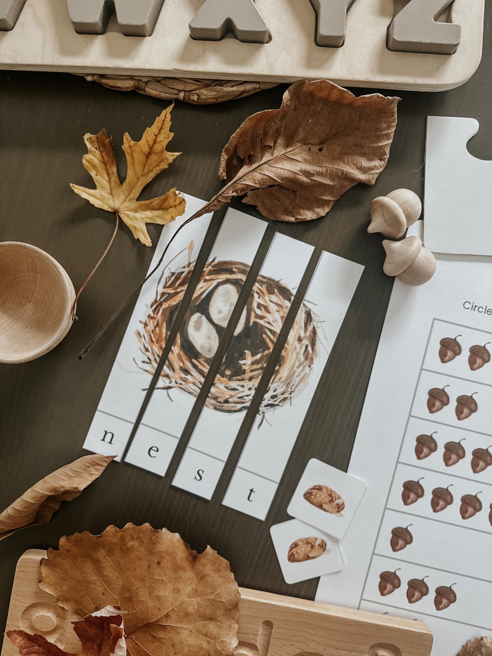 Homeschool Autumn Unit Study Printable Bundle - Etsy