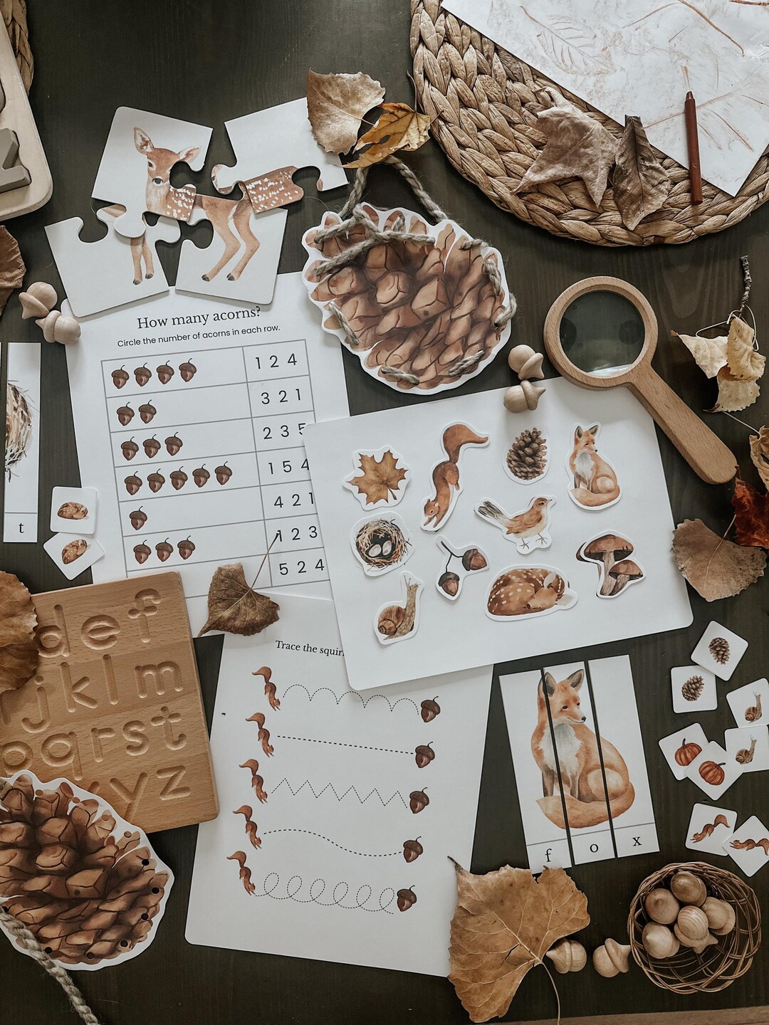 Homeschool Autumn Unit Study Printable Bundle - Etsy