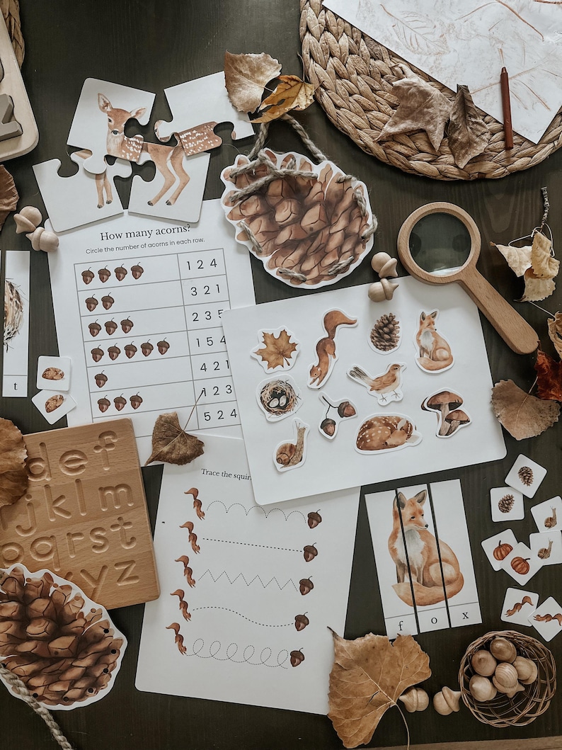 Homeschool Autumn Unit Study Printable Bundle - Etsy