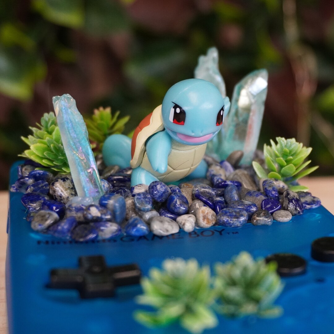 Squirtle Nintendo Terrarium Diorama FAN ART - Etsy