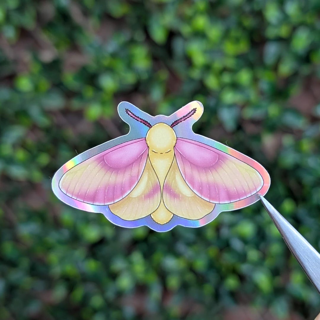 Rosy Maple Moth Holographic Sticker - Etsy