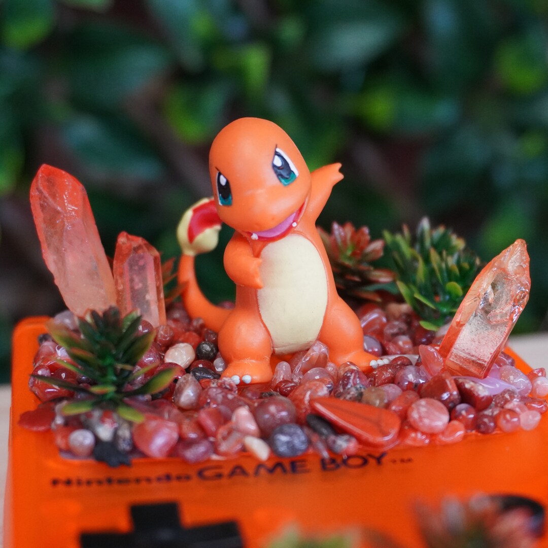 Charmander Nintendo Terrarium Diorama FAN ART - Etsy
