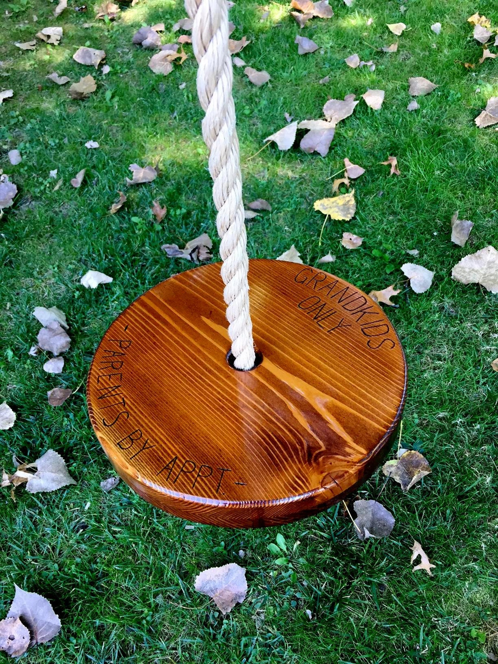 Grandkids Only Round Swing Disc Swing for Kids Round Rope | Etsy