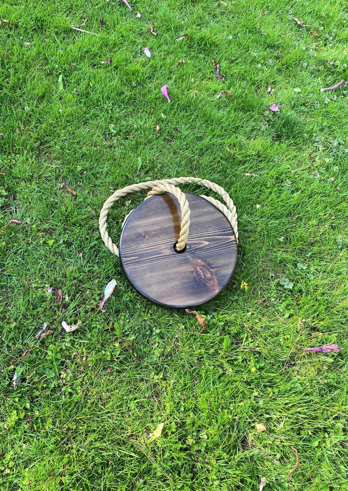 Dark Wood Round Swing Disc Swing for Kids Round Rope Swing | Etsy