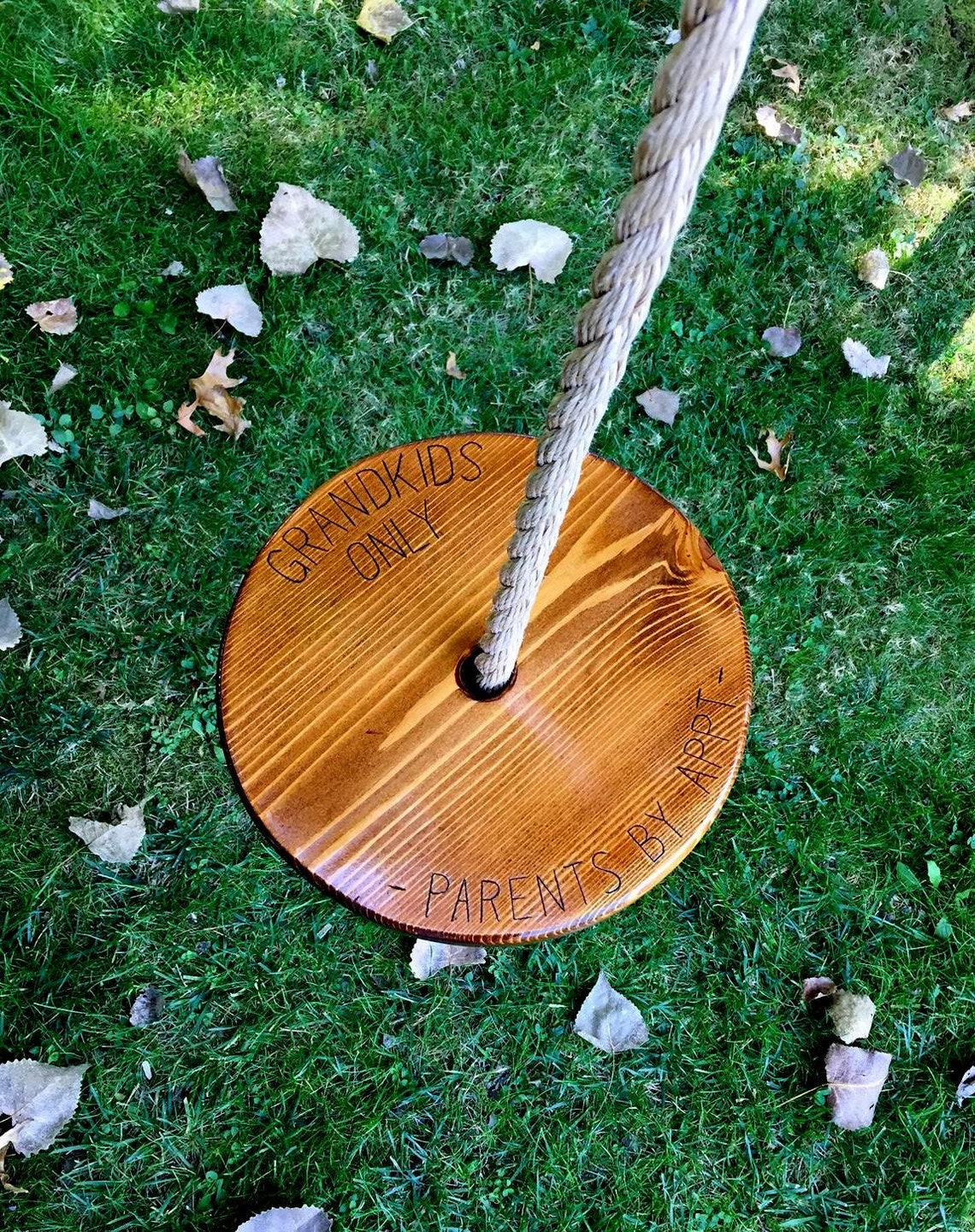 Grandkids Only Round Swing Disc Swing for Kids Round Rope | Etsy