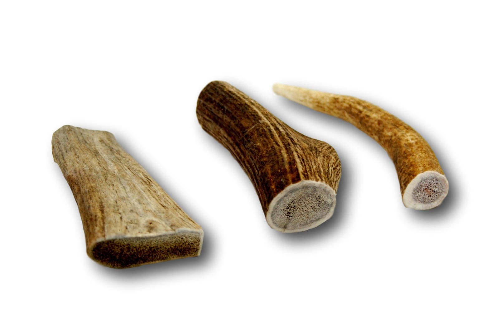 Fresh Montana XXL Deer Antlers Dog Chew 8 to 10-inch Single | Etsy