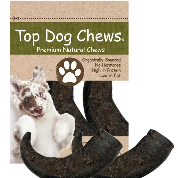 Water Buffalo Dog Chew - Etsy