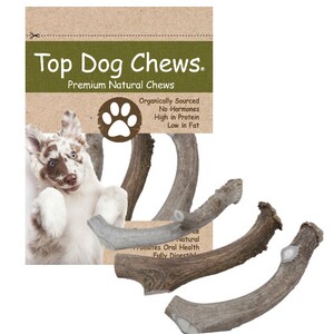 Deer Antlers Dog Chew Treats - 3 Large Deer Antlers - Etsy