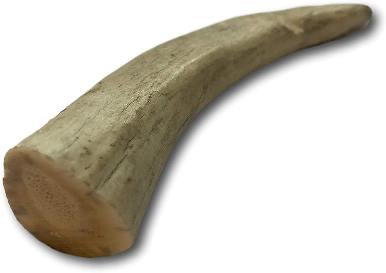 Top Dog Chews Premium Grade A Natural Shed Hard Moose Antler | Etsy