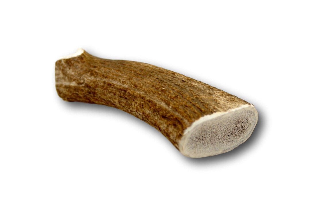 Fresh Montana XXL Deer Antlers Dog Chew, 8 to 10-inch - Single Antler ...