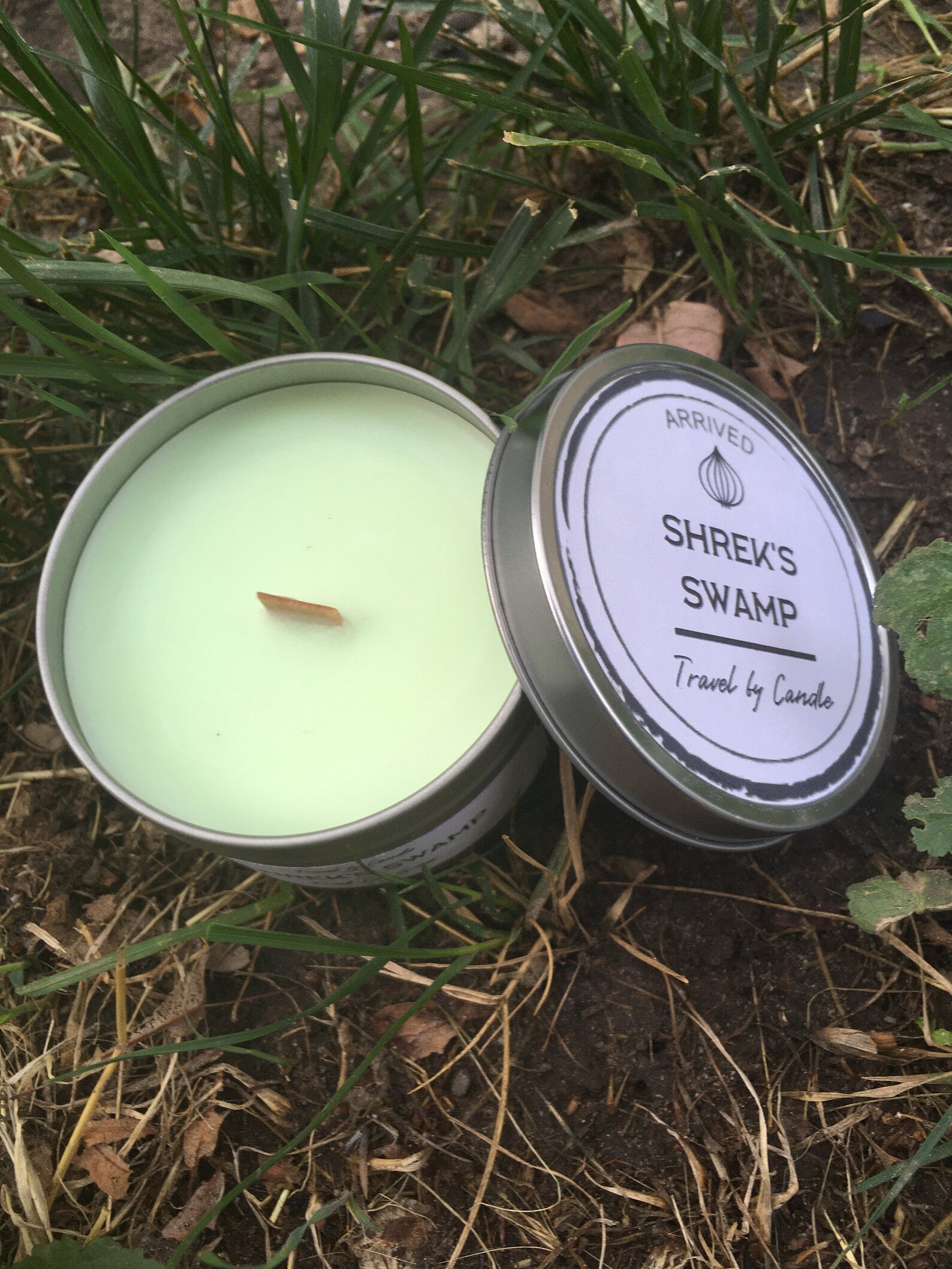 Shrek's Swamp Fresh Cut Grass Cartoon Inspired Candle | Etsy