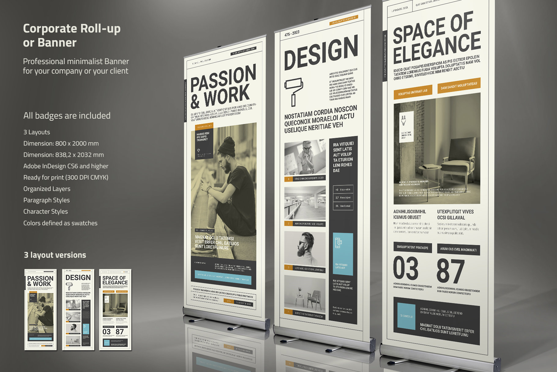 Business Roll-up Banner | Indesign Template - Etsy
