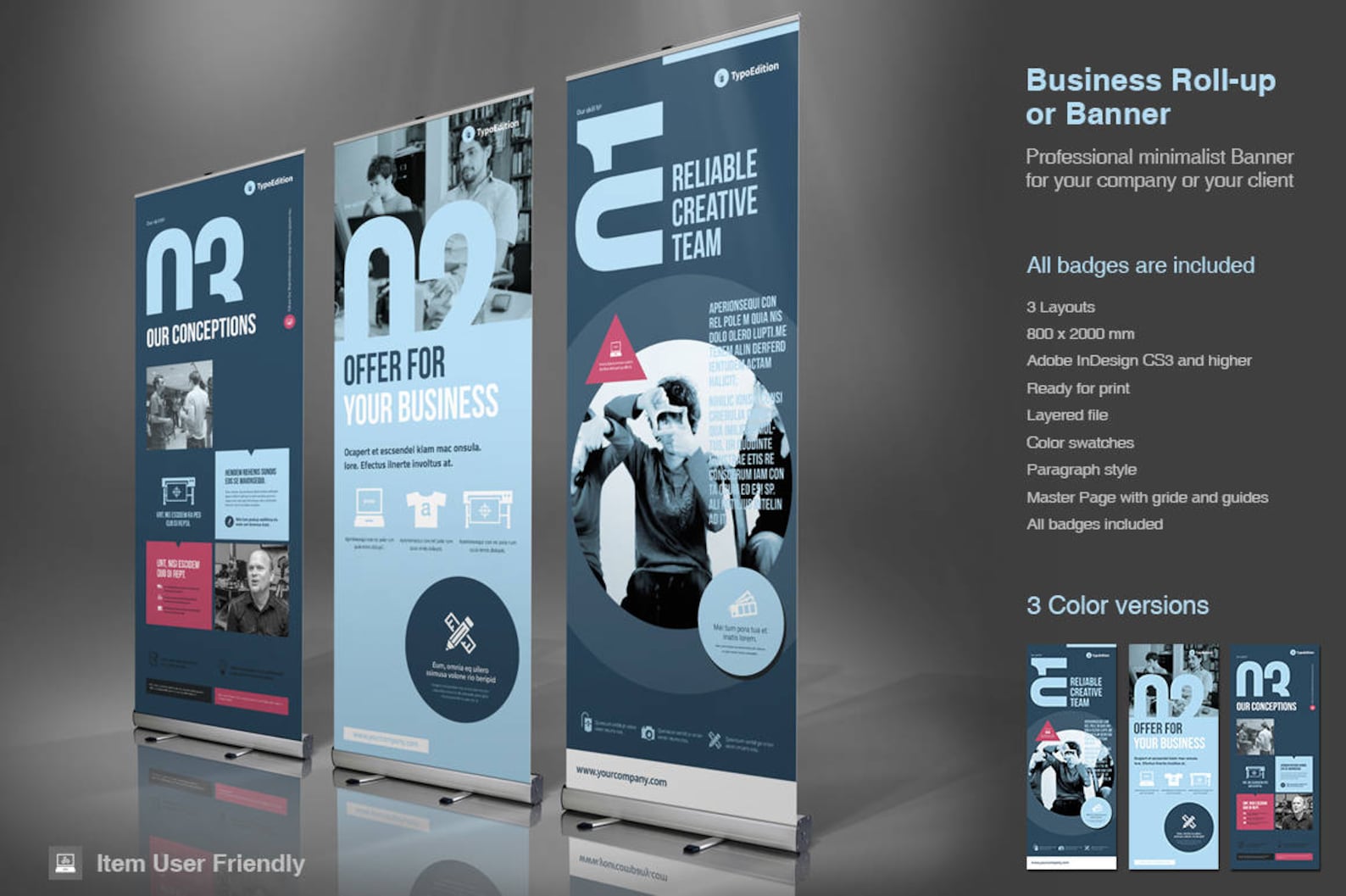 Business Roll-up Banner | Indesign Template - Etsy