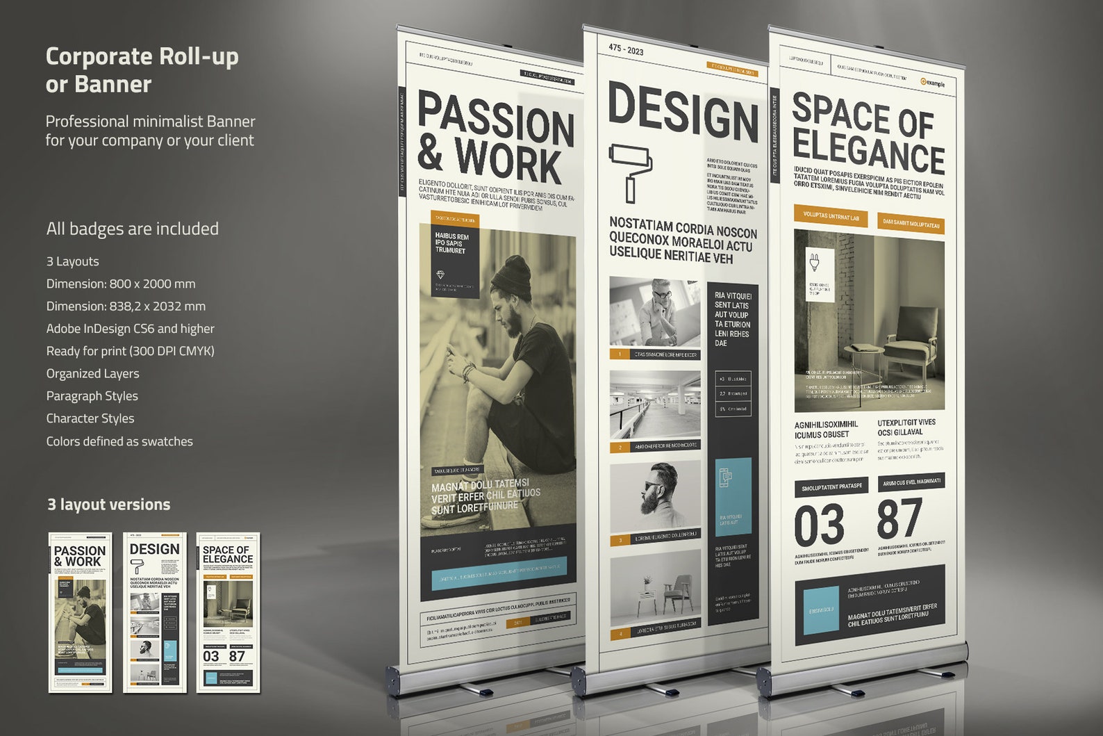 Business Roll-up Banner | Indesign Template - Etsy