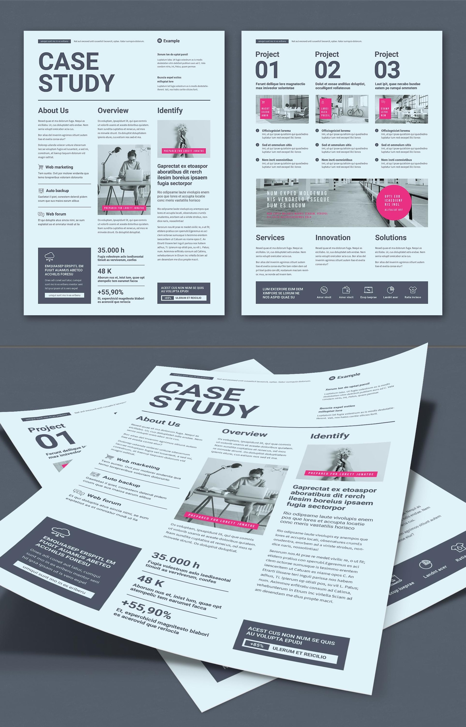 Case Study | Case Study Layout | Case Study Flyer | Indesign - Etsy