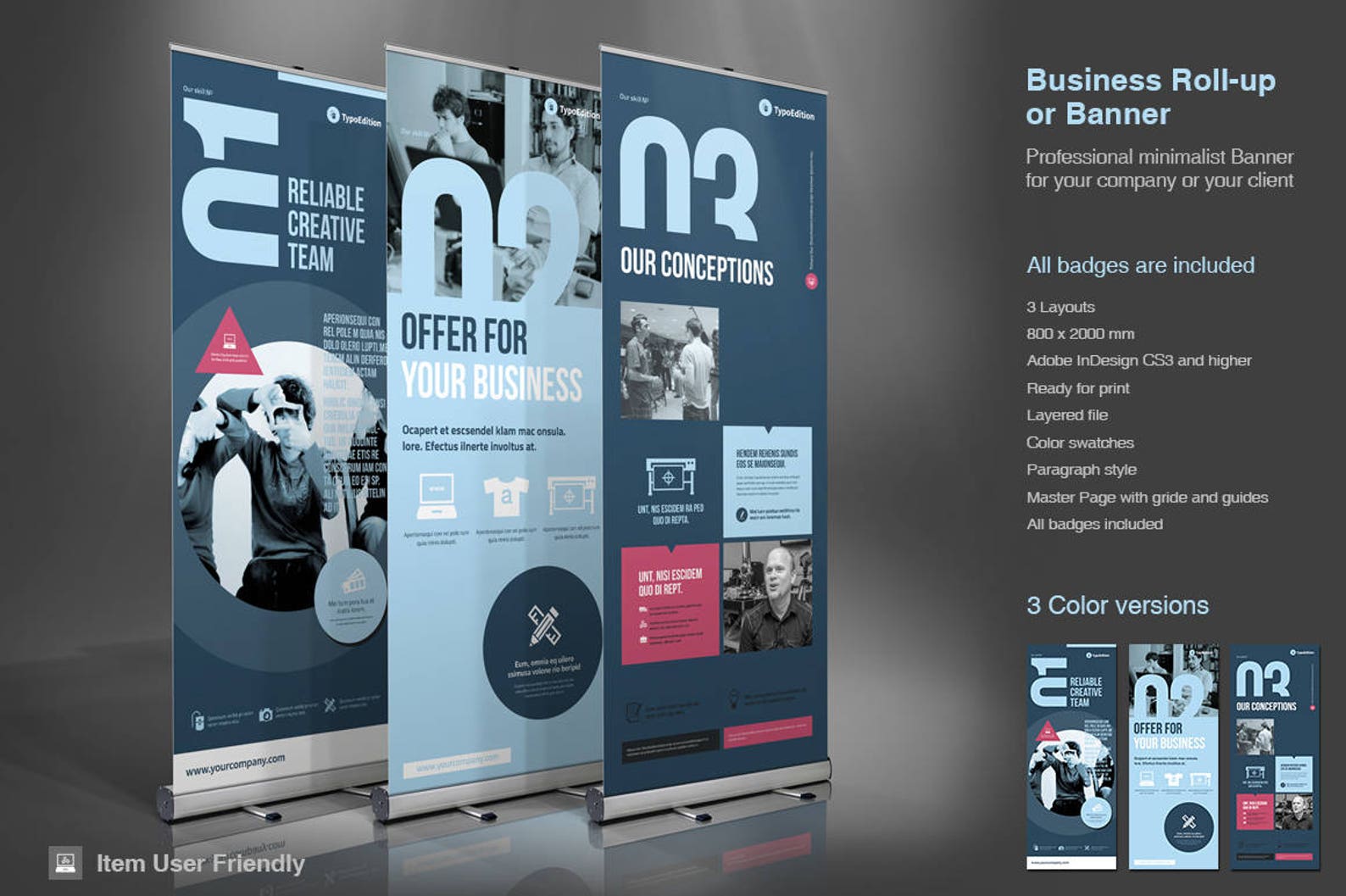 Business Roll-up Banner | Indesign Template - Etsy