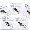 A School of Cute Fish Pins! - Etsy UK