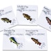 A School of Cute Fish Pins! - Etsy UK