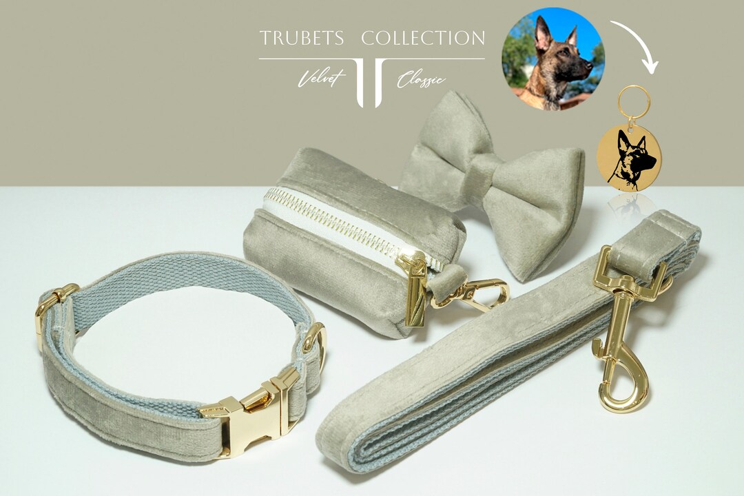 Personalized Velvet Dog Collar Leash Set, Engraved Pet Name, Wedding ...