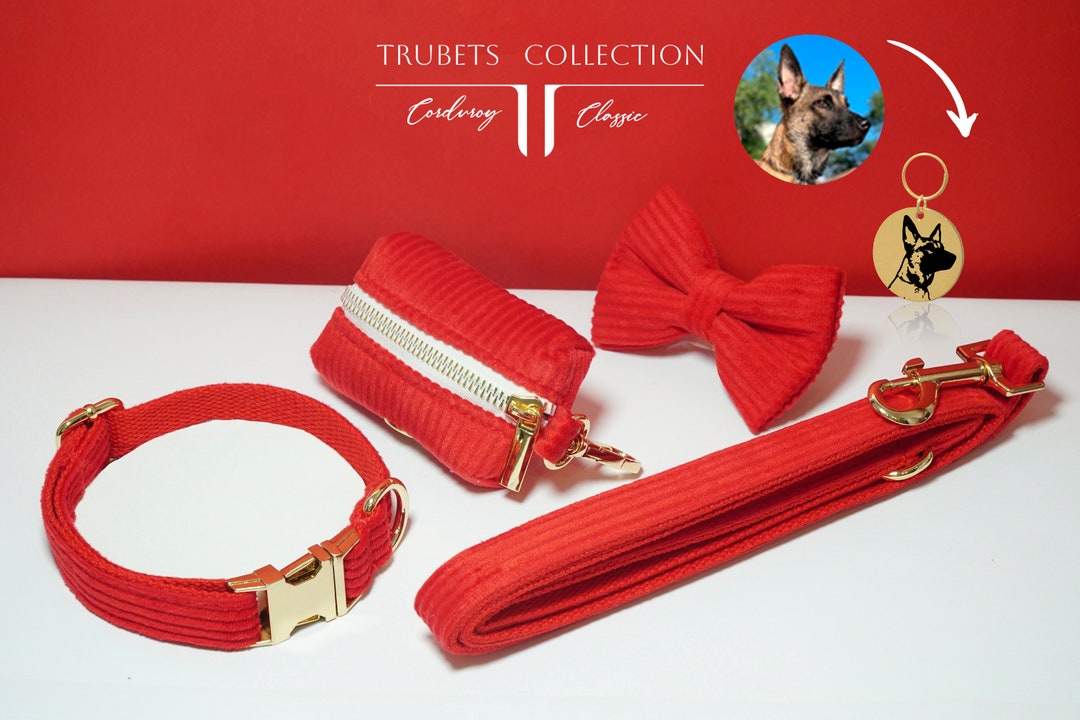 Personalized Red Dog Collar, Designer Dog Collar Corduroy, Female Dog ...
