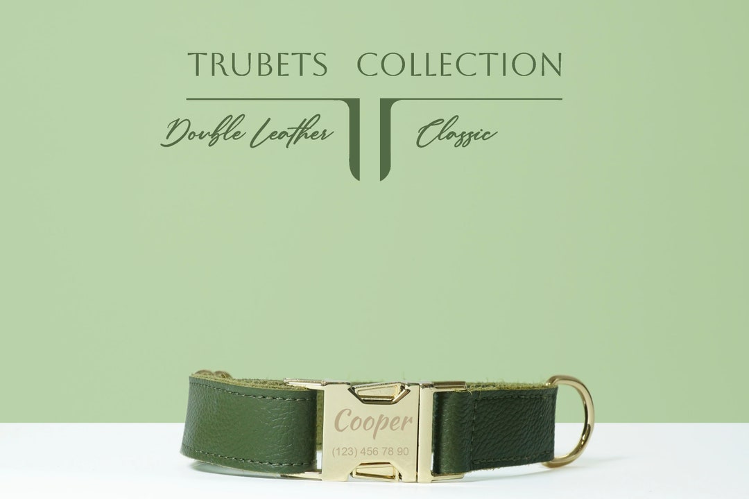 Personalized Leather Dog Collar, Designer Dog Collar, Leather Green Dog ...