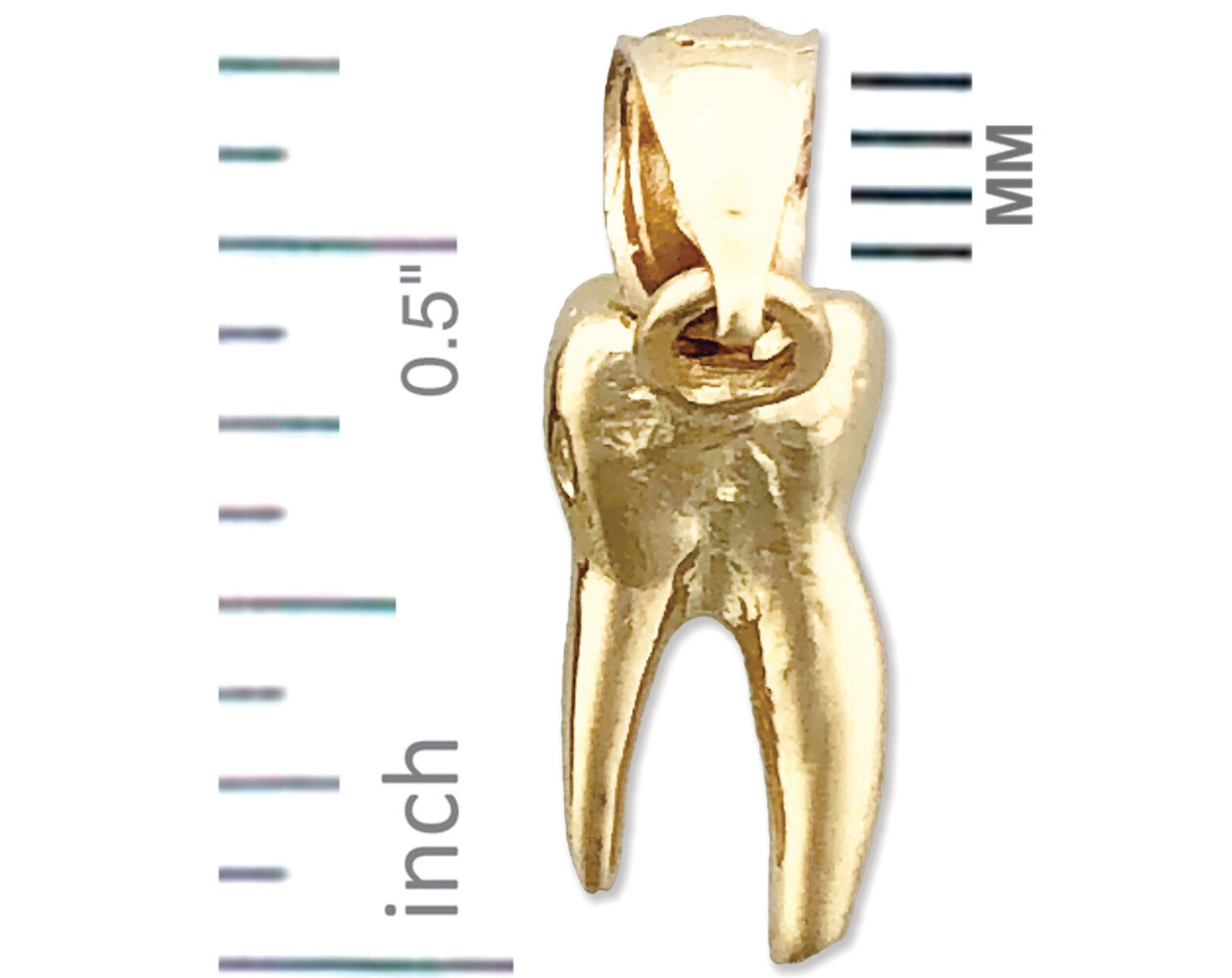 14K Gold 3D Tooth Charm | Etsy