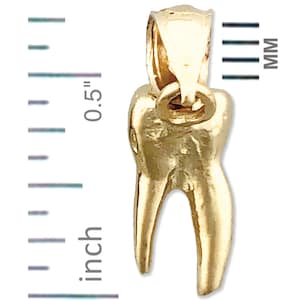 14K Gold 3D Tooth Charm - Etsy