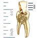 14K Gold 3D Tooth Charm - Etsy