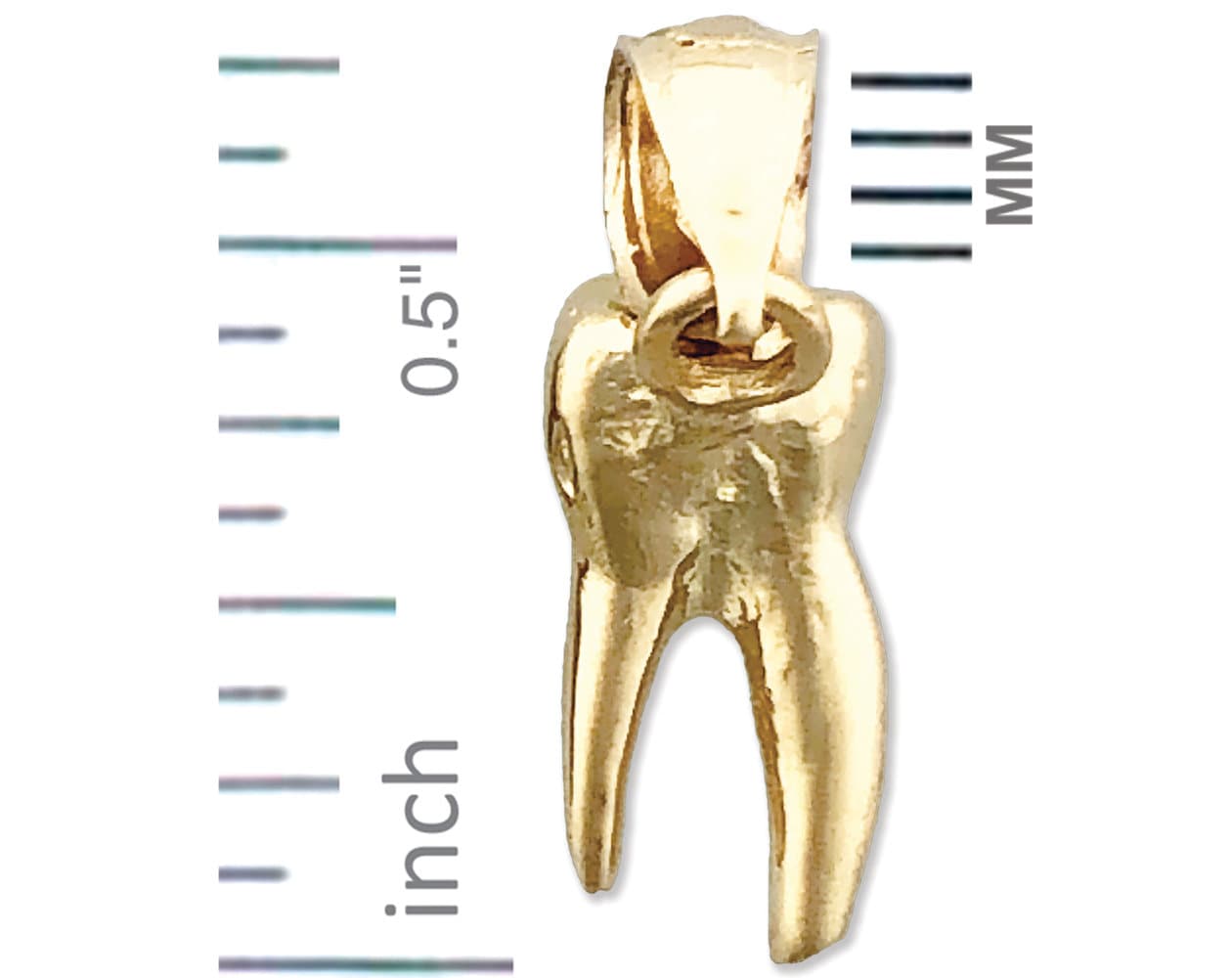 14K Gold 3D Tooth Charm | Etsy
