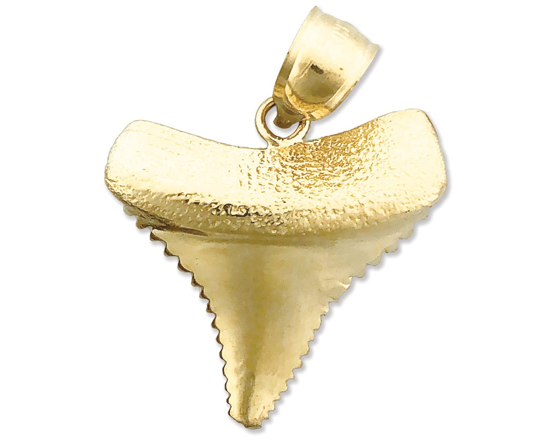 14K Gold Serrated Shark Tooth Pendant - Etsy