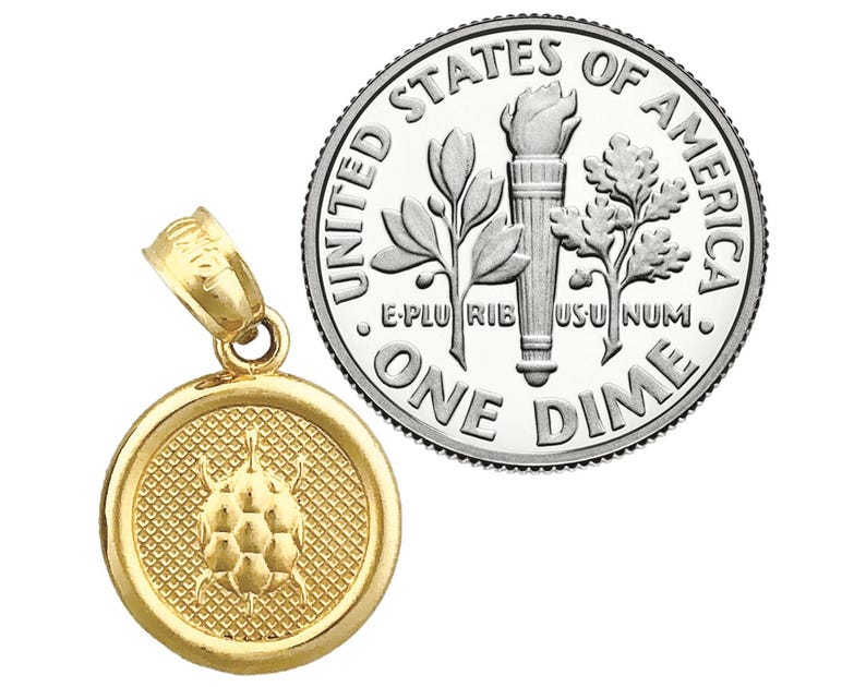 14K Gold Seven Wishes Health Charm - Etsy