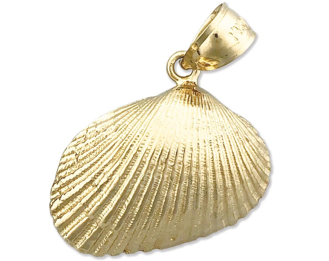14K Gold Mollusc Clam Seashell Pendant - Etsy