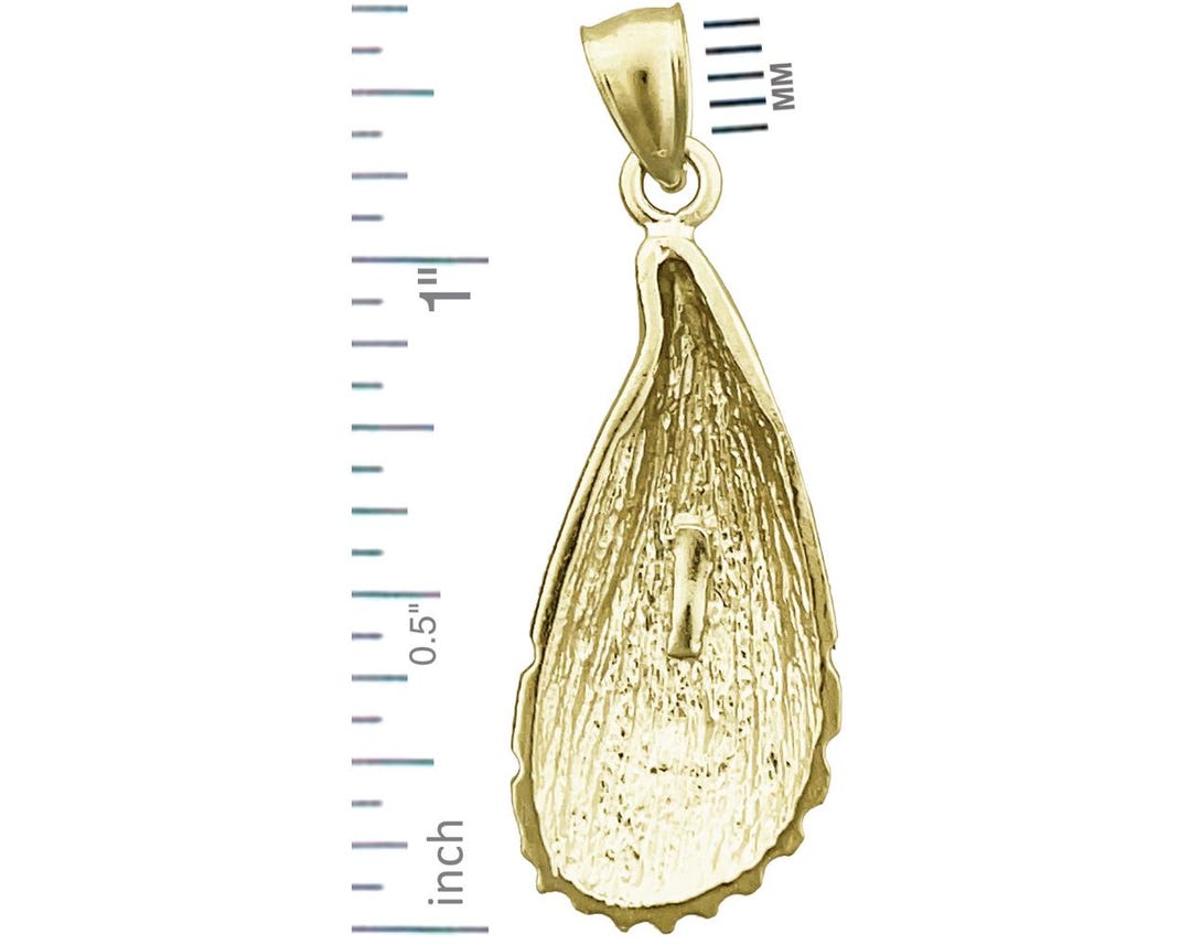 14K Gold Mussel Shell Mollusc Pendant - Etsy