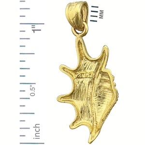 14K Gold Conch Gastropod Mollusk Shell Charm - Etsy