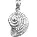 14K Gold Nautilus Shell Charm - Etsy