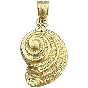 14K Gold Nautilus Shell Charm - Etsy