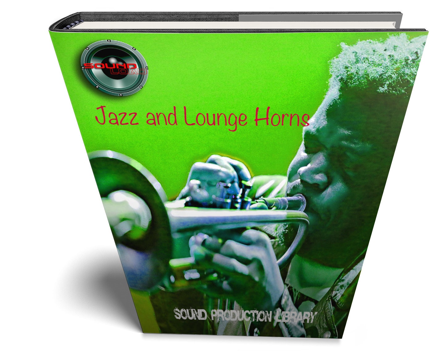 Trumpet Real Large Original 24bit Wave/kontakt Samples/loops Studio ...