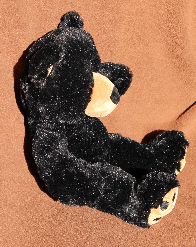 Singing Musical Stuffed Black Bear Sings Child's Name in | Etsy