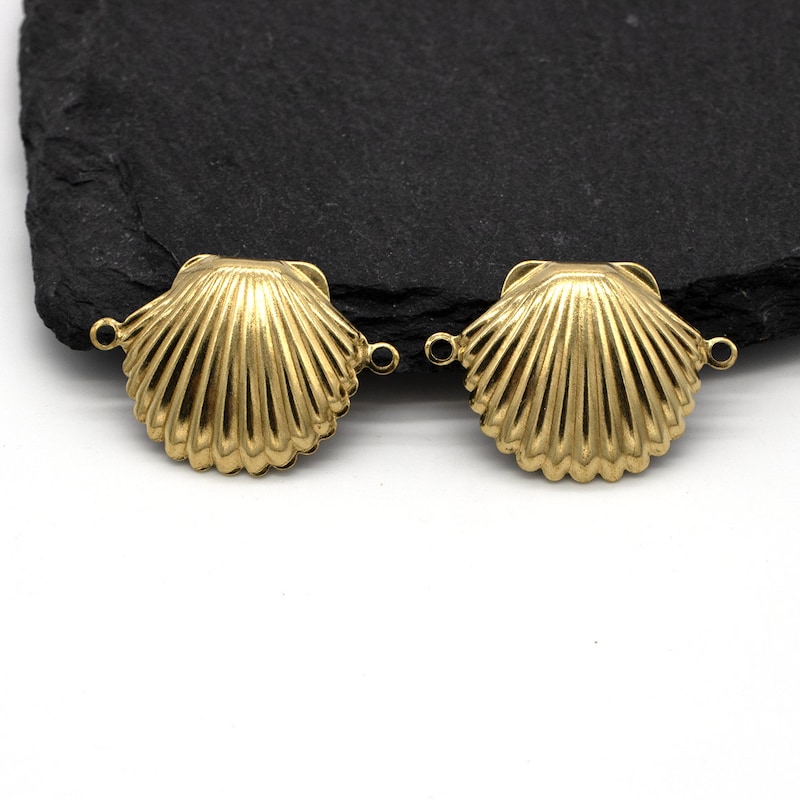 Raw Clam Shells - Etsy UK