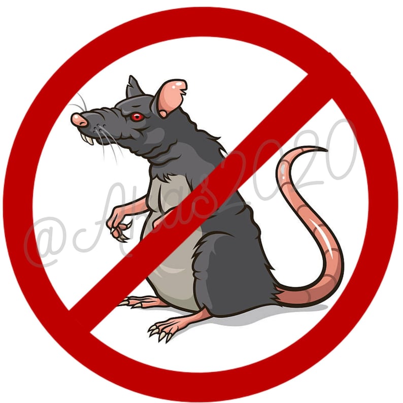 NO RATS Hard Hat Sticker Union Electrician Ironworker Welder - Etsy
