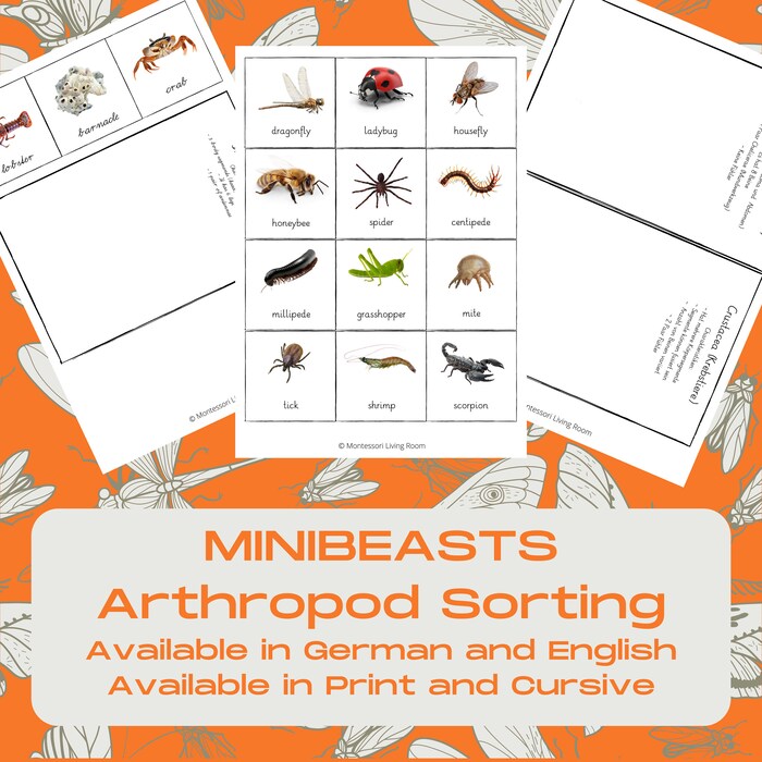 Arthropod - Etsy