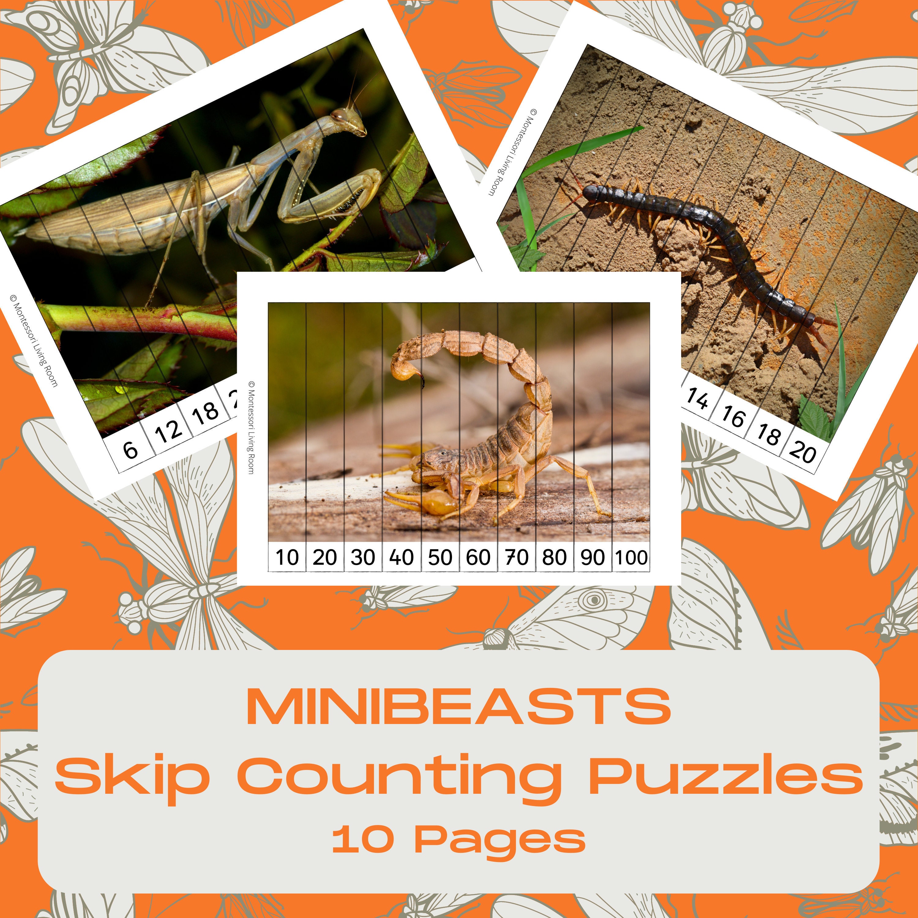Minibeasts Skip Counting Puzzles - Etsy