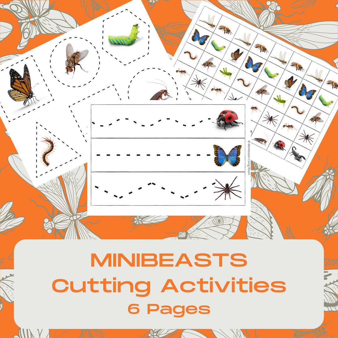 Minibeasts Cutting Activities - Etsy