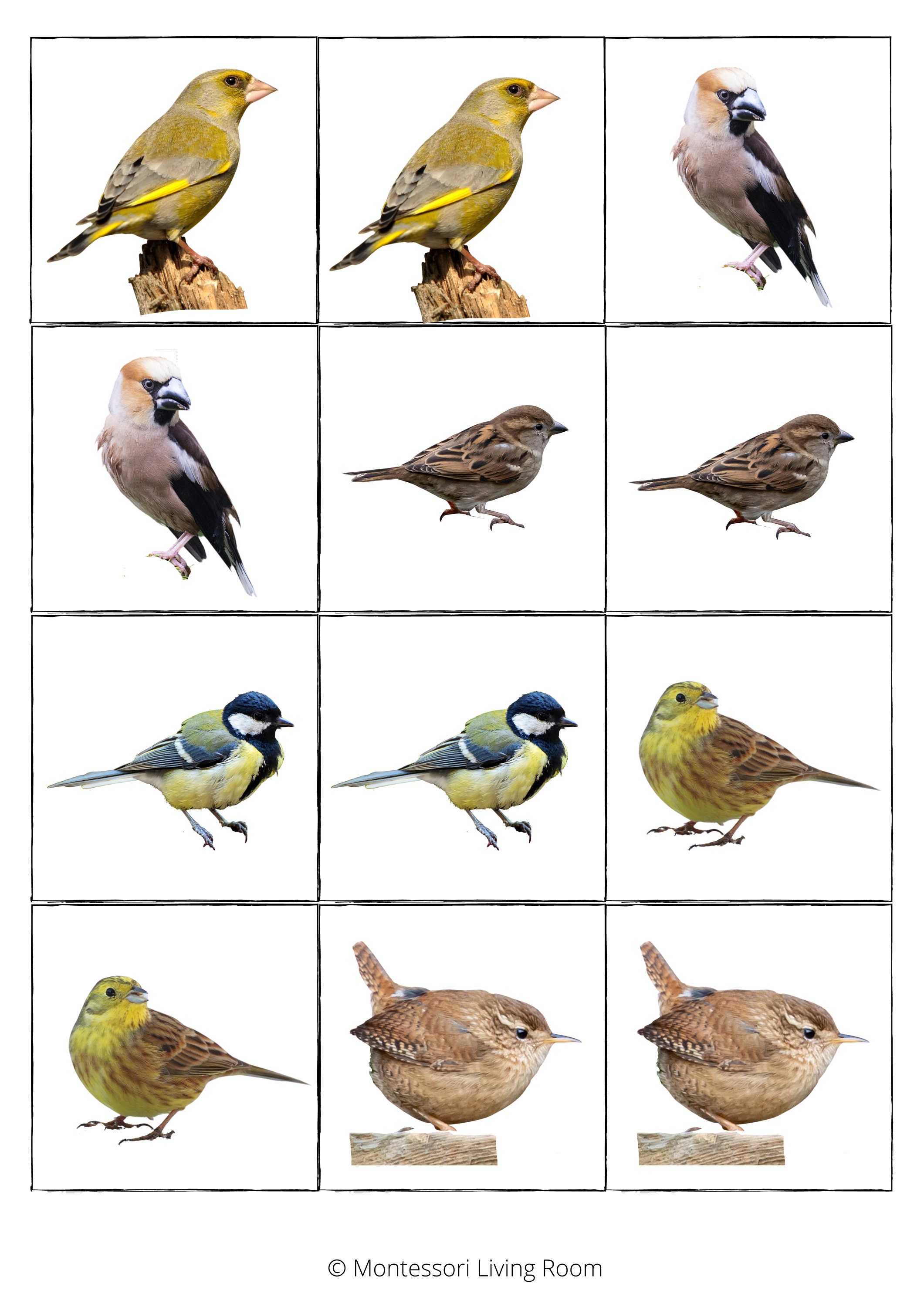 European Birds Memory Game Cards - Etsy UK